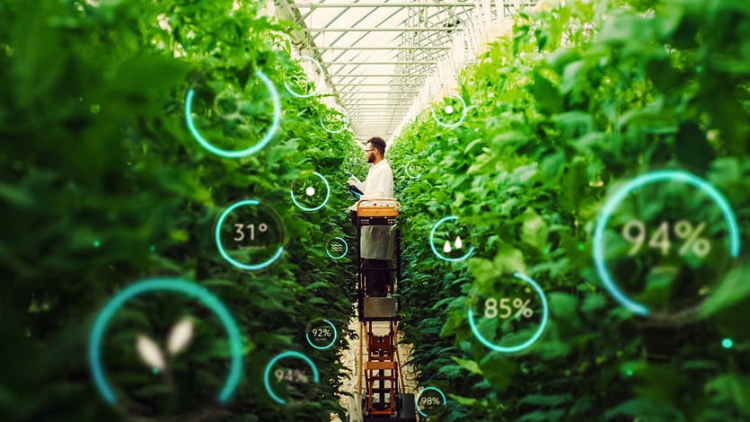 Ingram Micro AI solutions | Xvantage